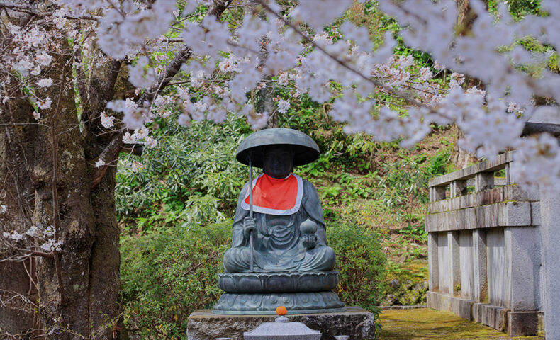 TCD WordPressテーマ｜国産WordPressテーマのトップブランド